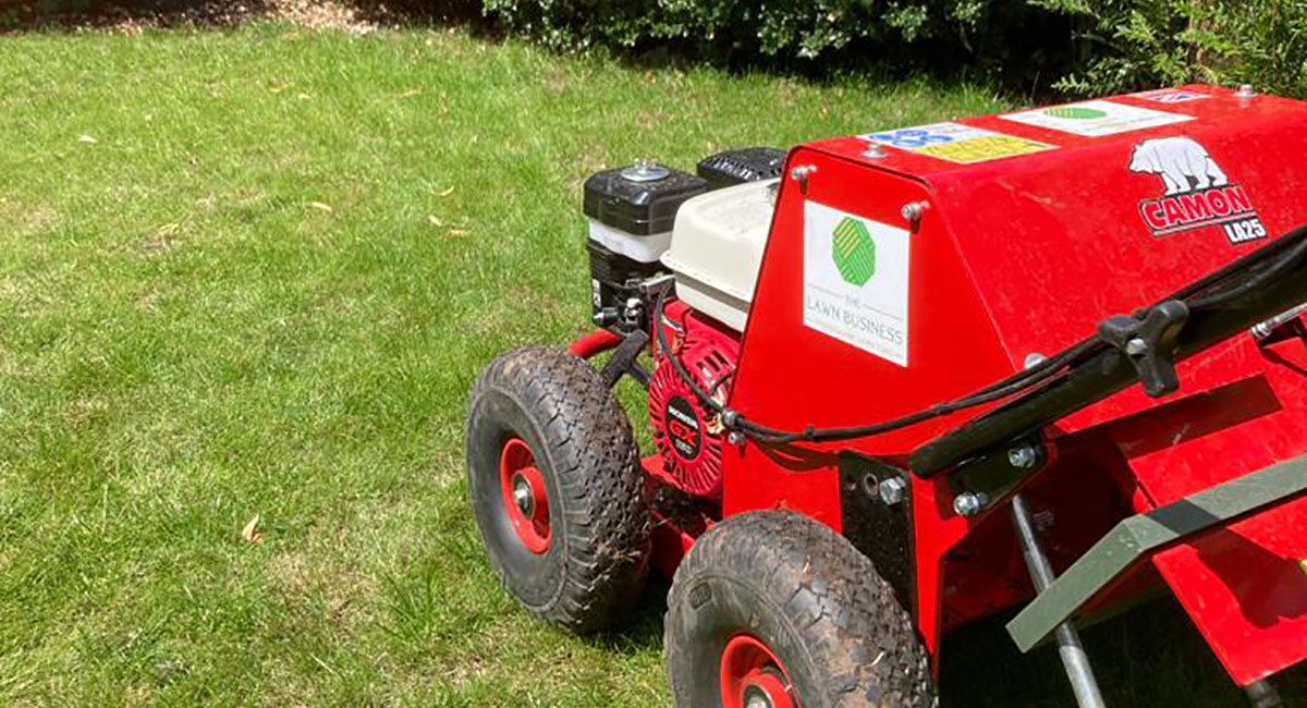 Lawn Scarification, Aeration Service & Red Thread Treatment